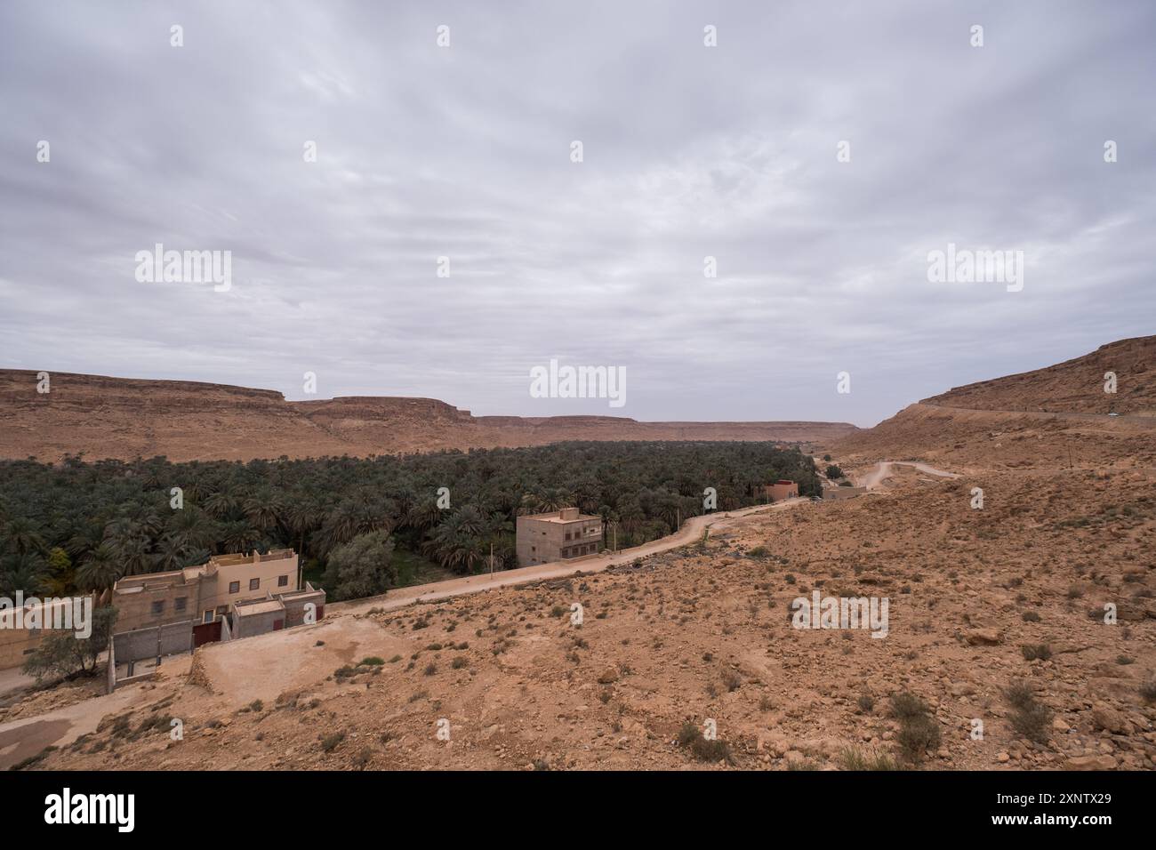 wide panoramic view of immense Tafilalet oasis in Morocco, North Africa ...