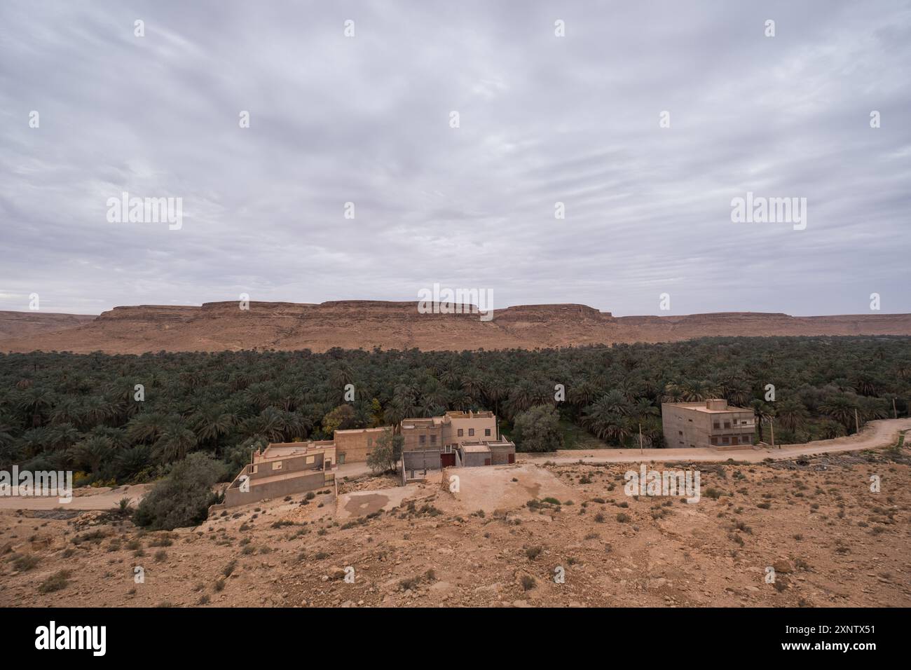 wide panoramic frontal view of immense Tafilalet oasis in Morocco ...