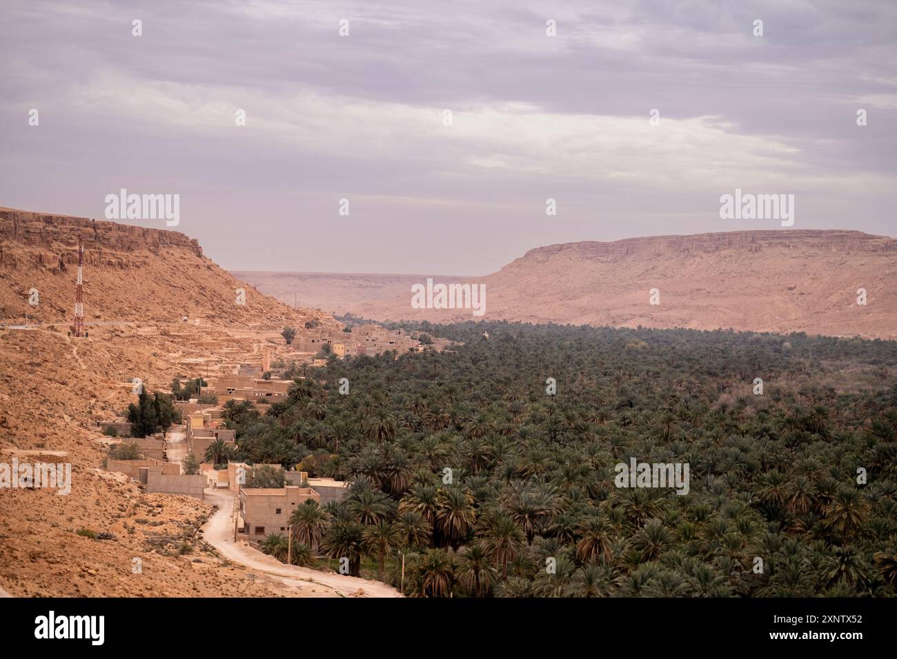 View of immense Tafilalet oasis in Morocco, North Africa. The largest ...