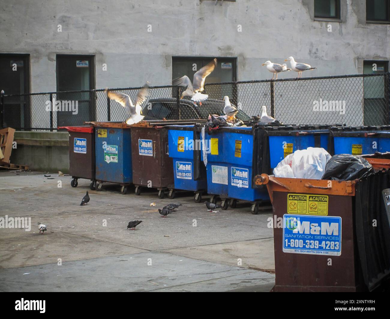 Dumpsters in an alley hi-res stock photography and images - Alamy