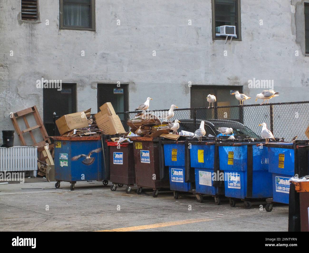 Dumpsters in an alley hi-res stock photography and images - Alamy