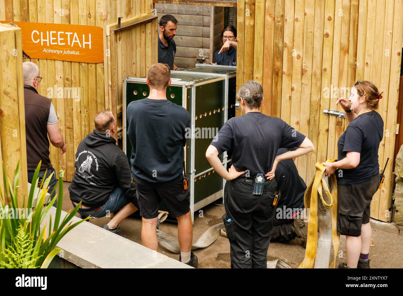 Handout photo dated 01/08/24 issued by Royal Zoological Society of ...