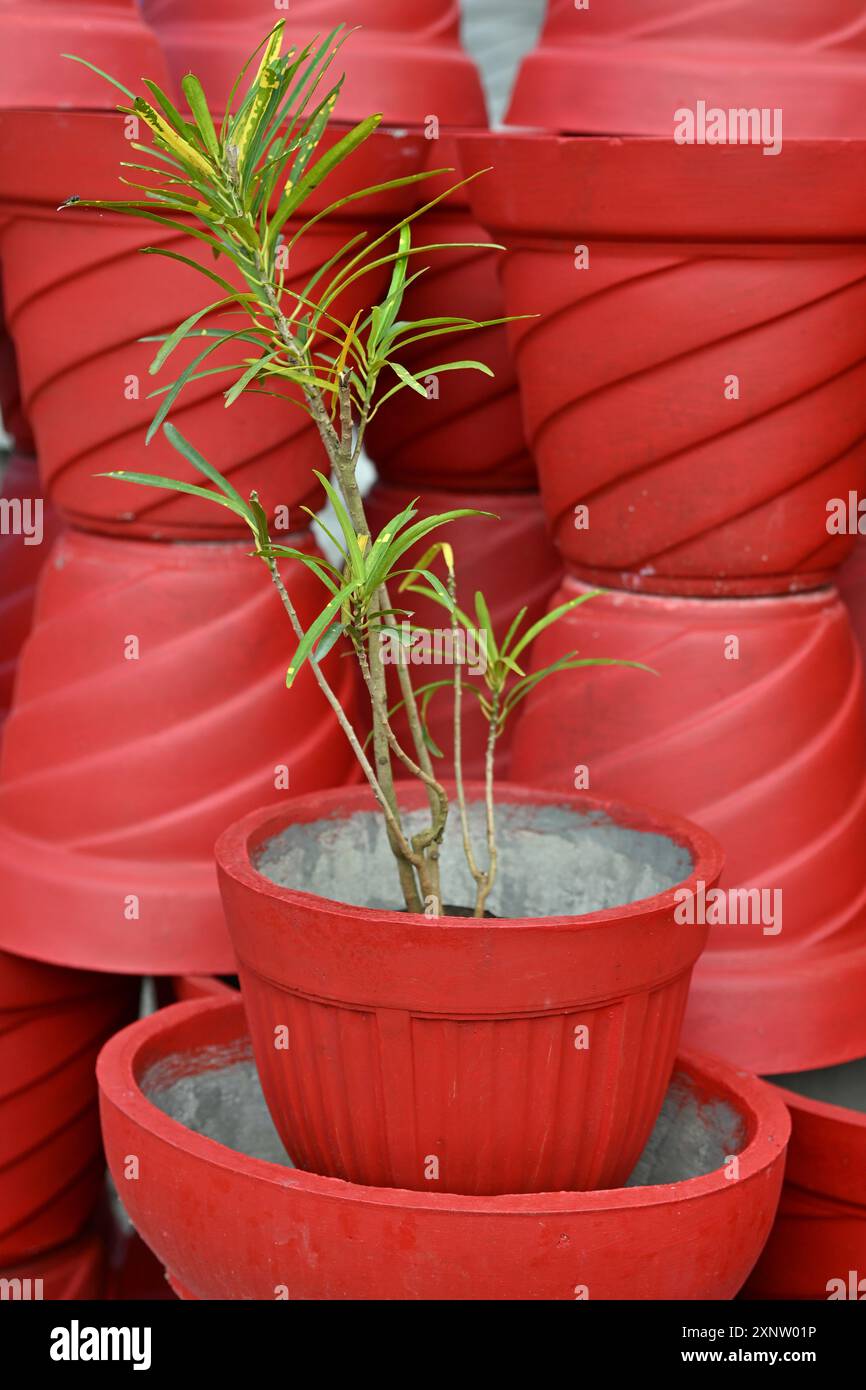 Kerala home design hi-res stock photography and images - Alamy