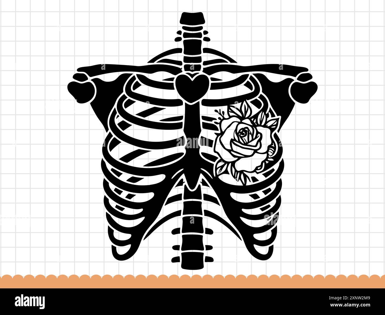 Halloween floral chest skeleton. Vector illustration Stock Vector Image ...