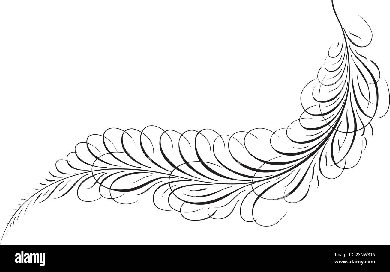 Bird feather vector illustration. Fluffy feather silhouette line art ...