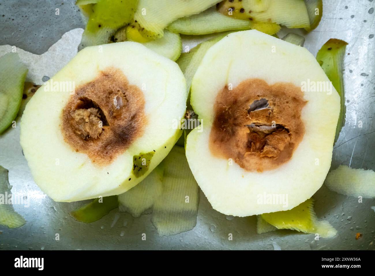 Rotten apple looking very good from outside but it is rotten from the ...