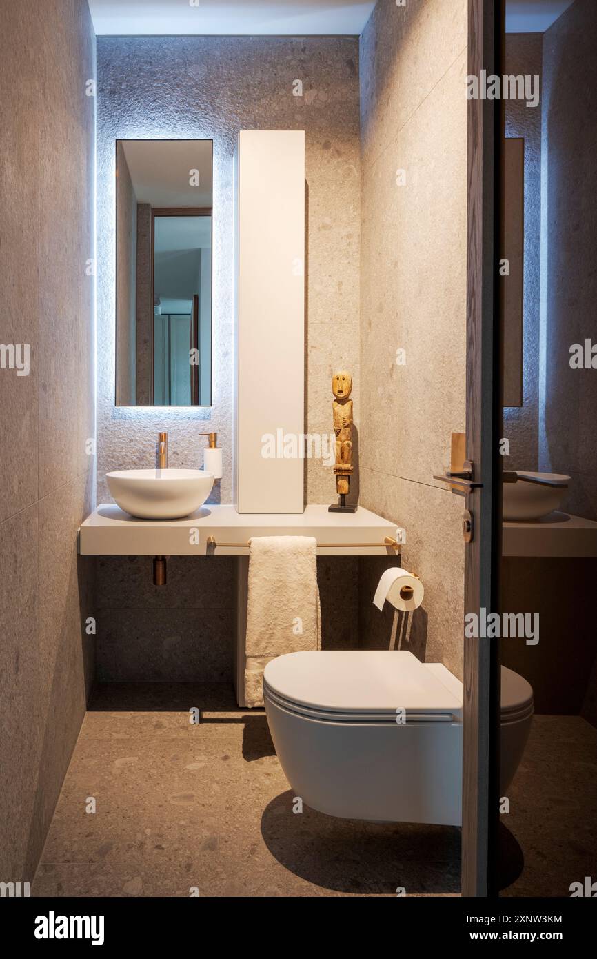 Small luxurious bathroom. There is a toilet, a sink, a mirror and a ...