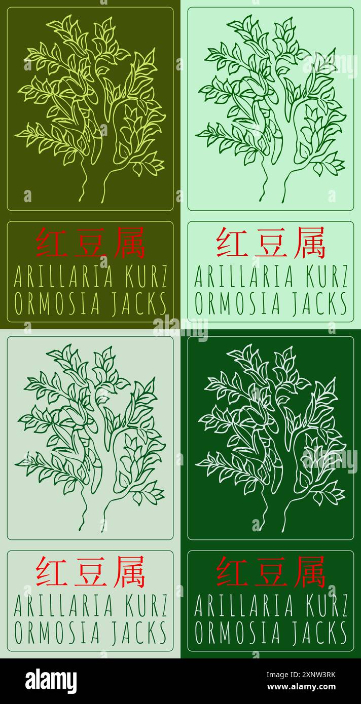 Drawing jacks hi-res stock photography and images - Alamy