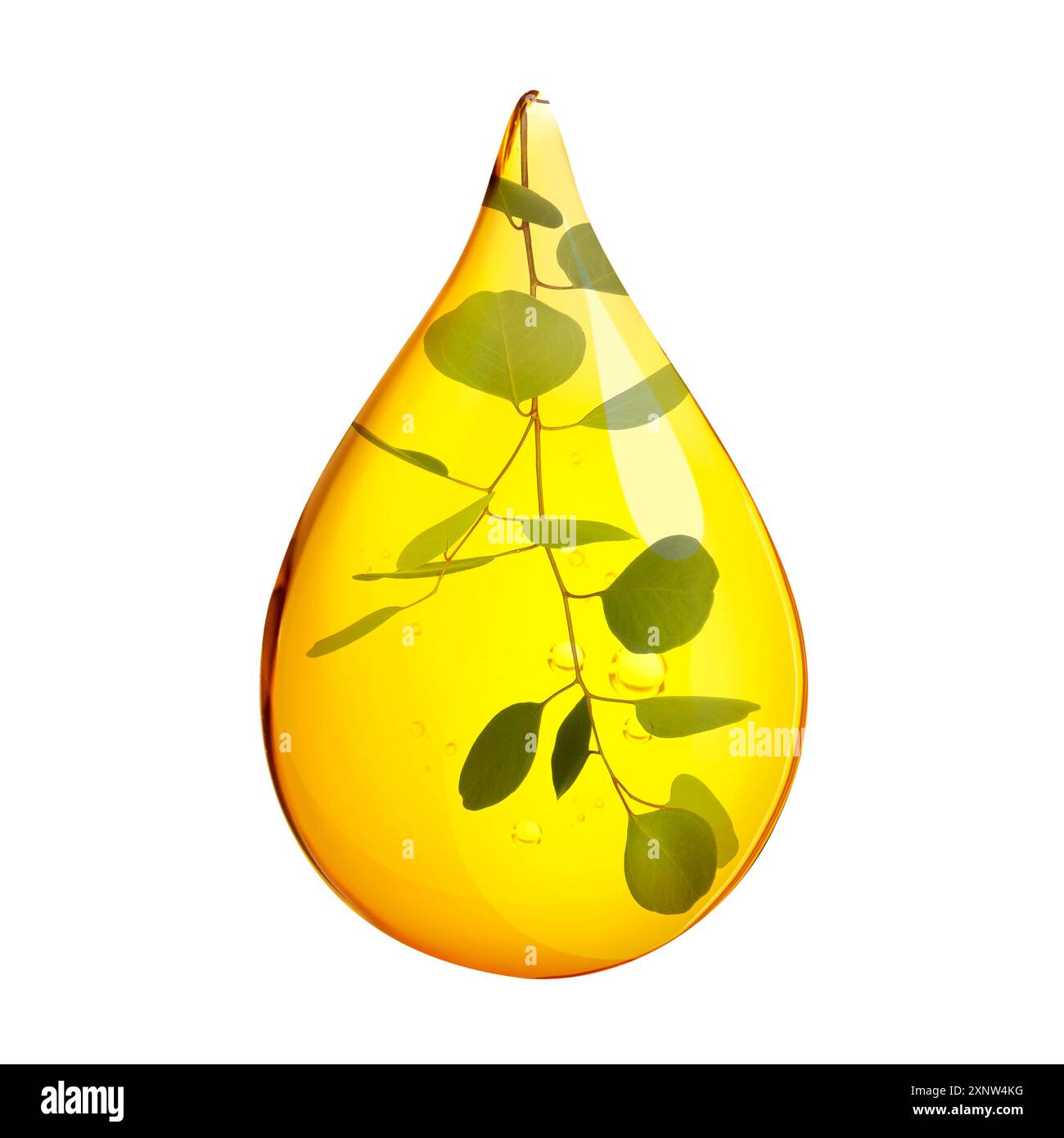 Eucalyptus oil drop with branch inside on white background Stock Photo ...