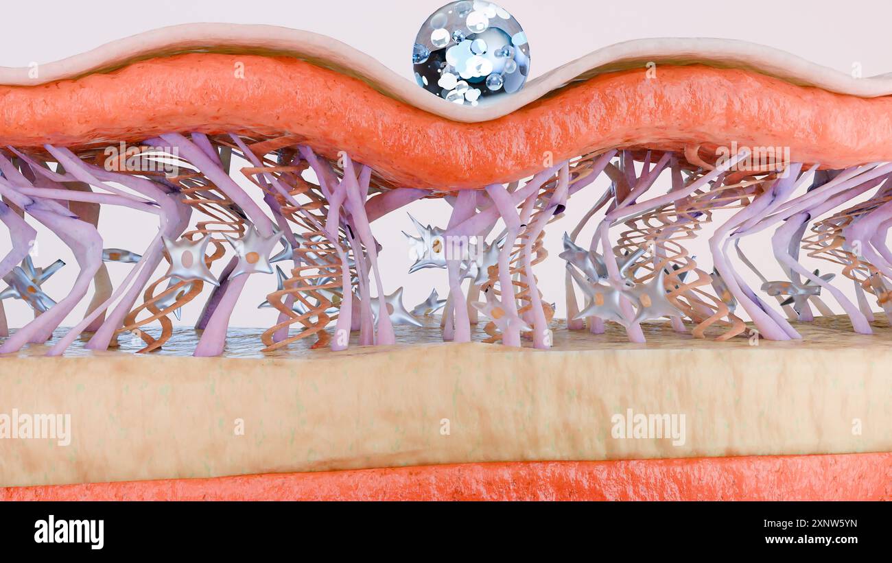 Collagen serum drop enhancing fibers regeneration skin tissues. wrinkle ...