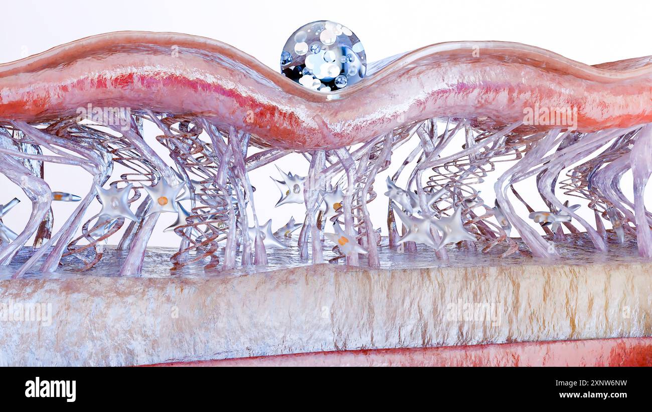 Collagen serum drop enhancing fibers regeneration skin tissues. wrinkle ...