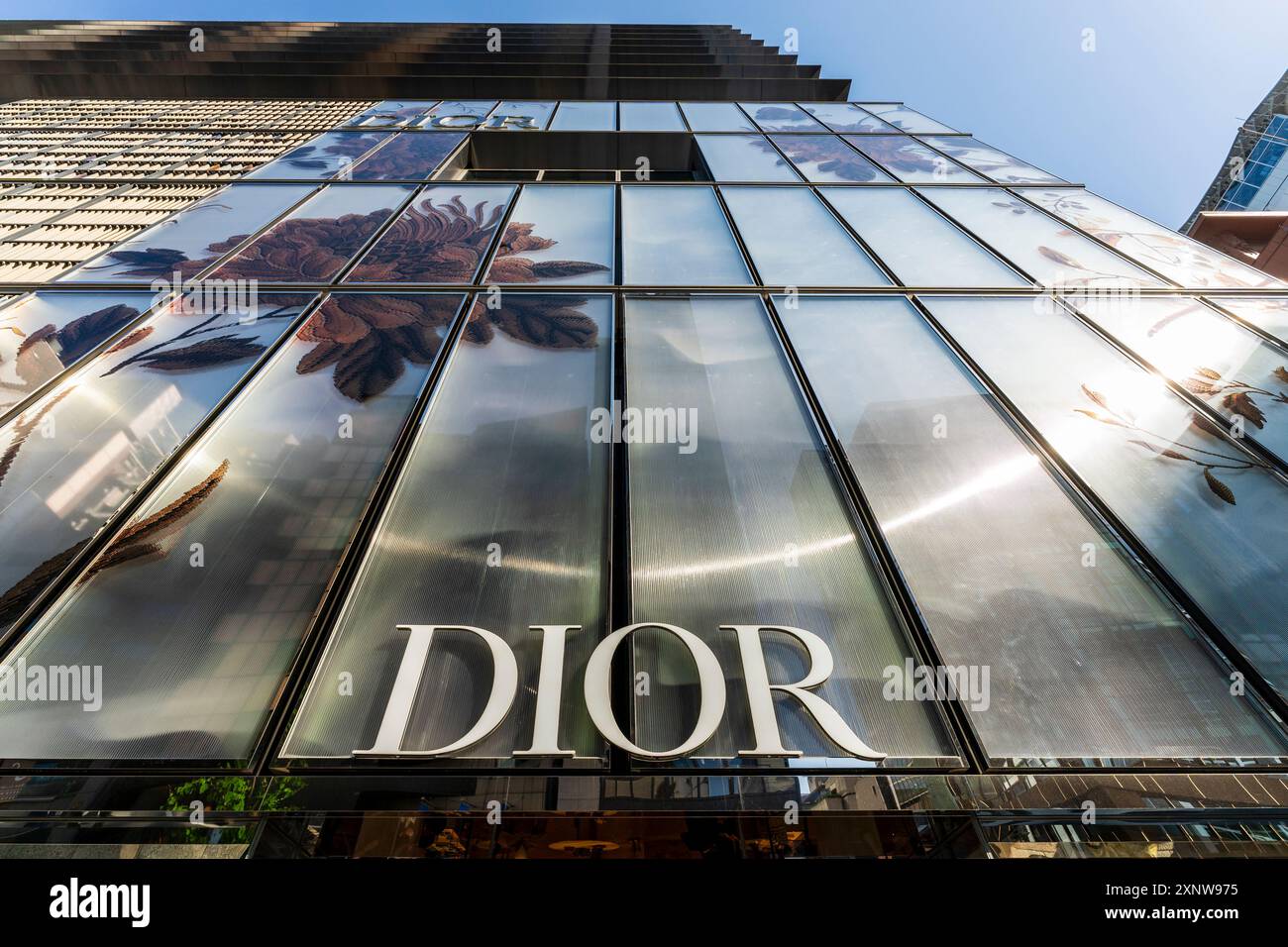 Dior fashion logo brand name in white letters on the front of the Dior ...