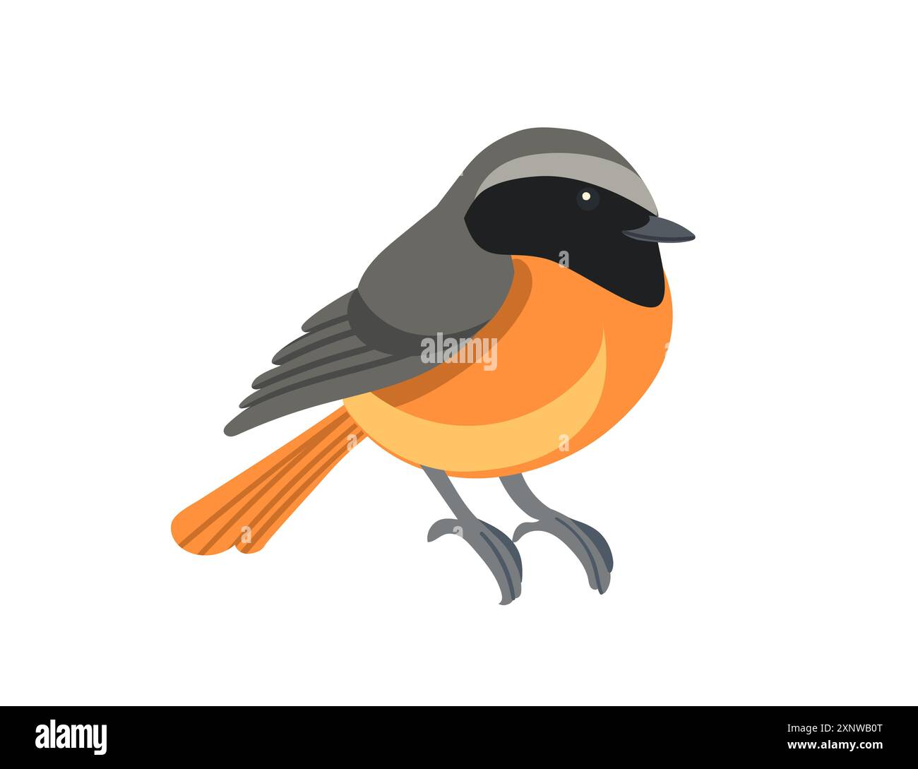 Common redstart on branch Stock Vector Images - Alamy