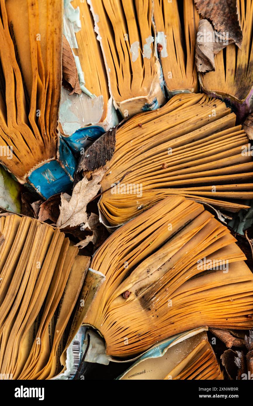 Books pile destruction hi-res stock photography and images - Alamy