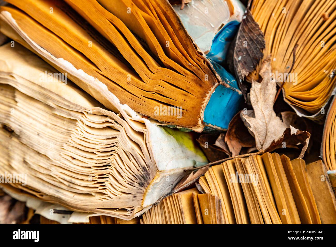 Damaged books hi-res stock photography and images - Alamy