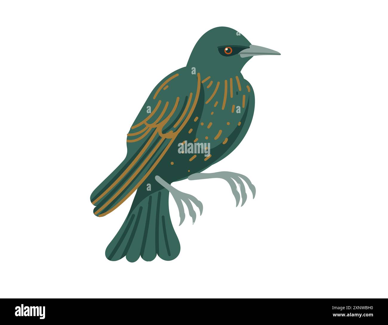 Cute starling bird. Cartoon animal design, stylized bird with dark ...