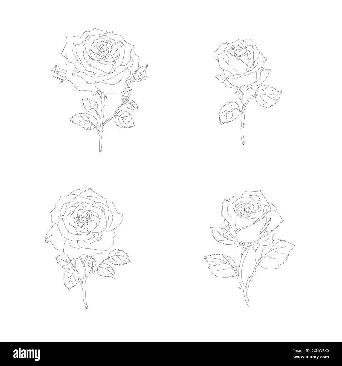 Sketch black and white roses set. Outline monochrome flowers Stock ...
