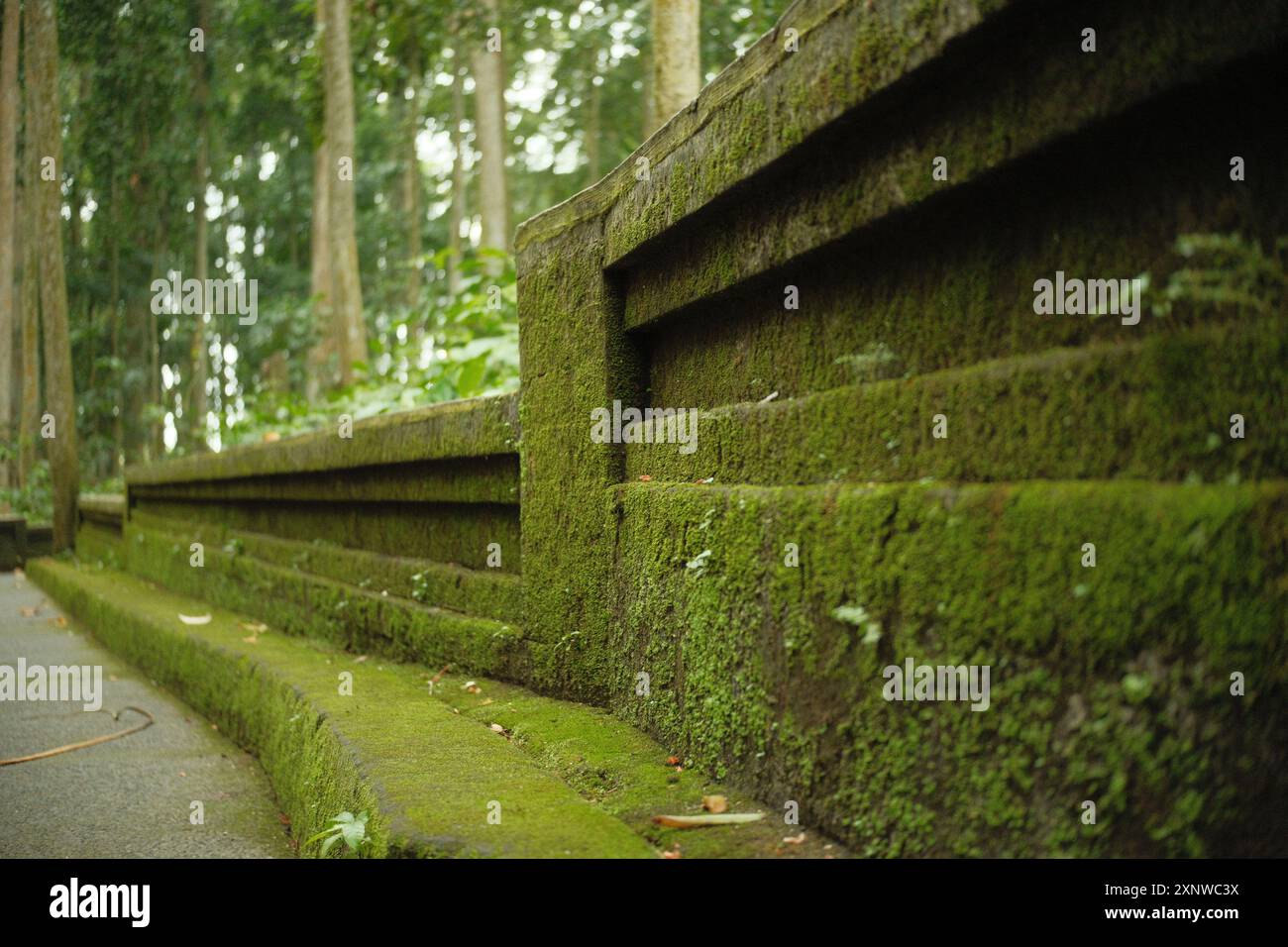 Mossy stone wall hi-res stock photography and images - Alamy