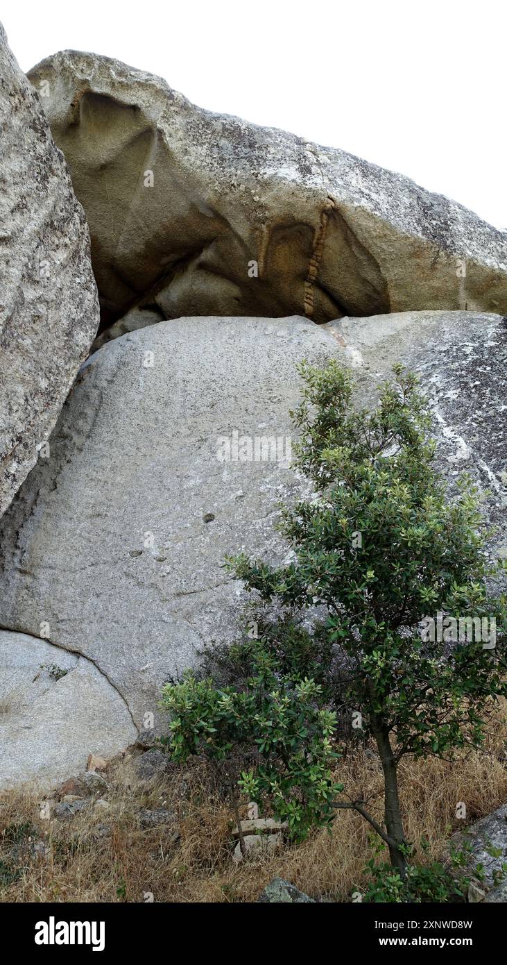 A glimpse of the giant rocks shaped by the wind present in the Gallura ...