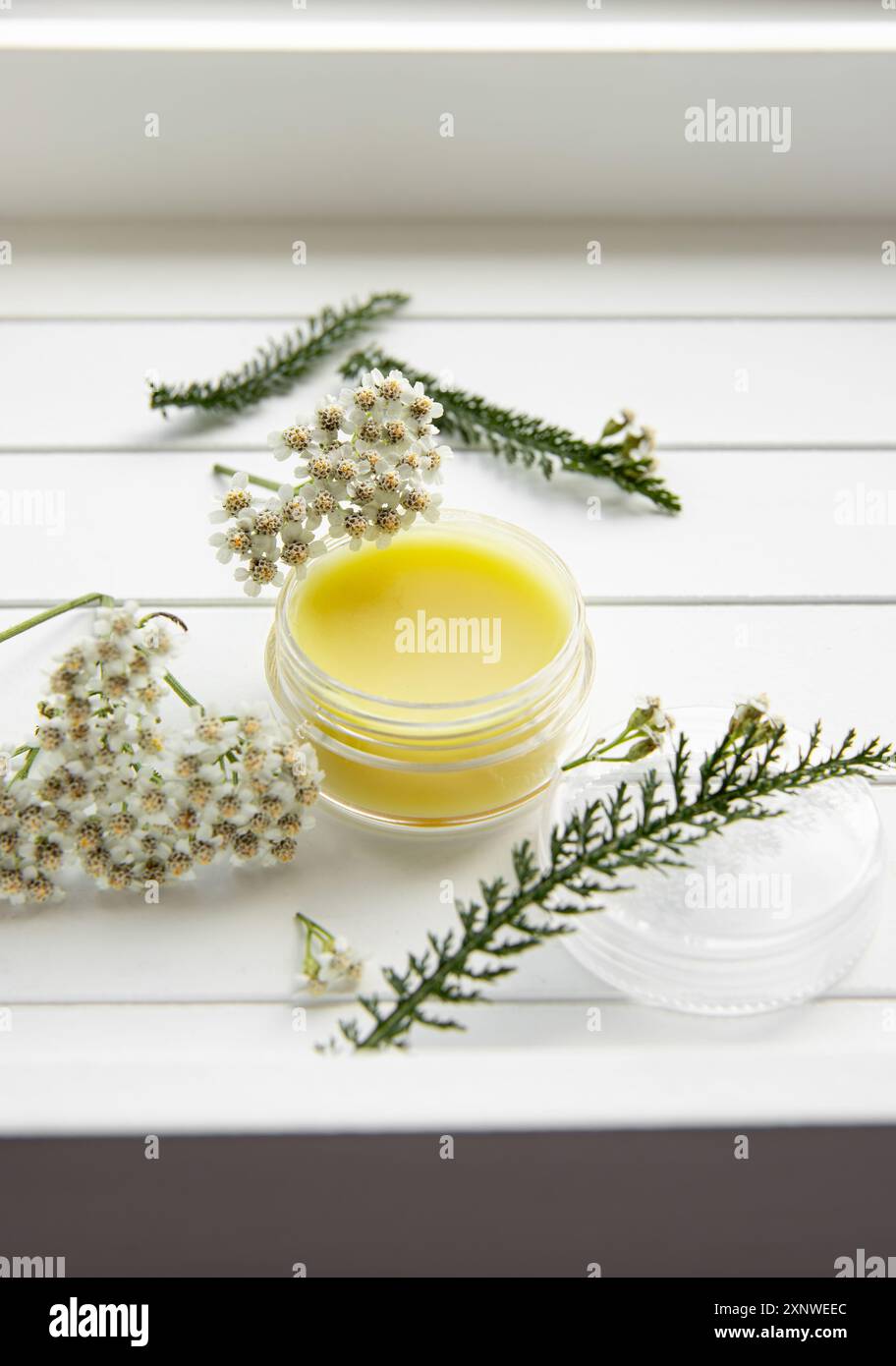 Achillea millefolium orange hi-res stock photography and images - Alamy