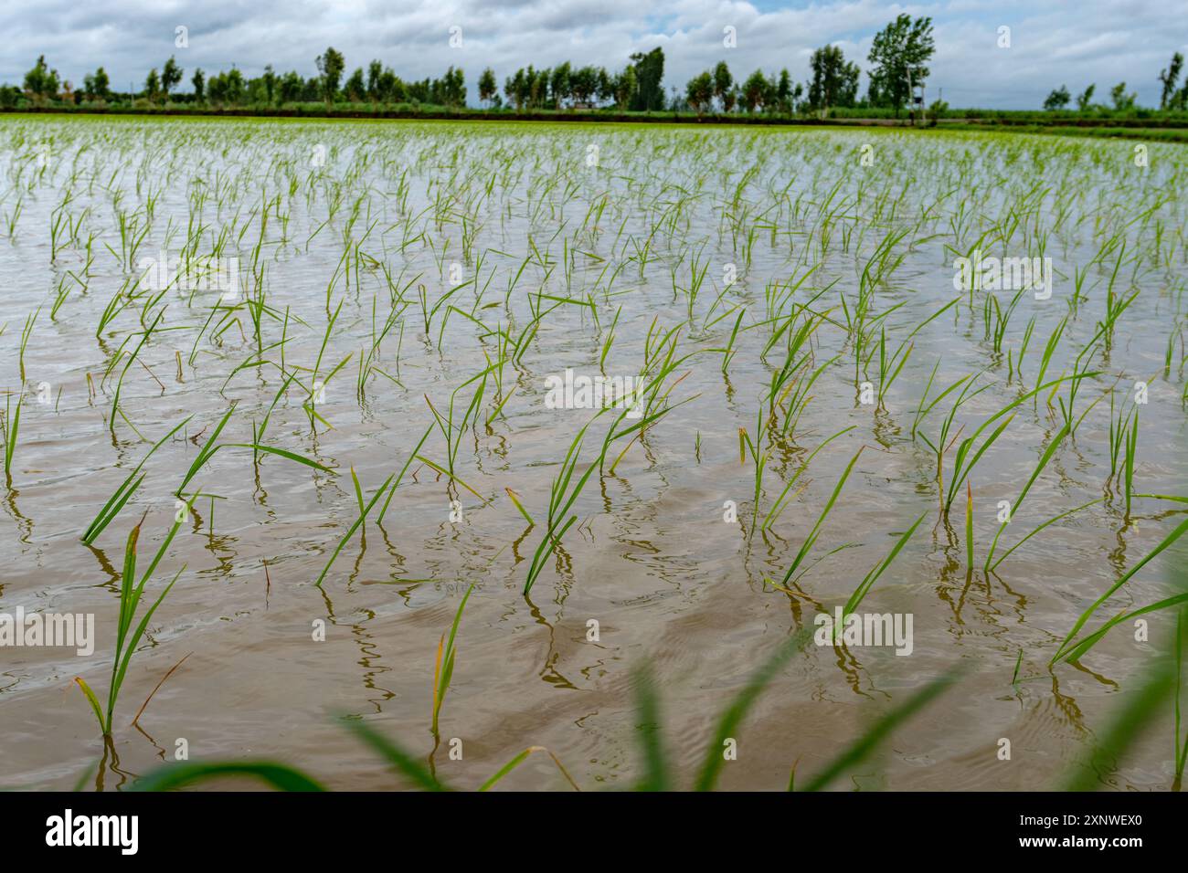 Rudrapur city hi-res stock photography and images - Alamy