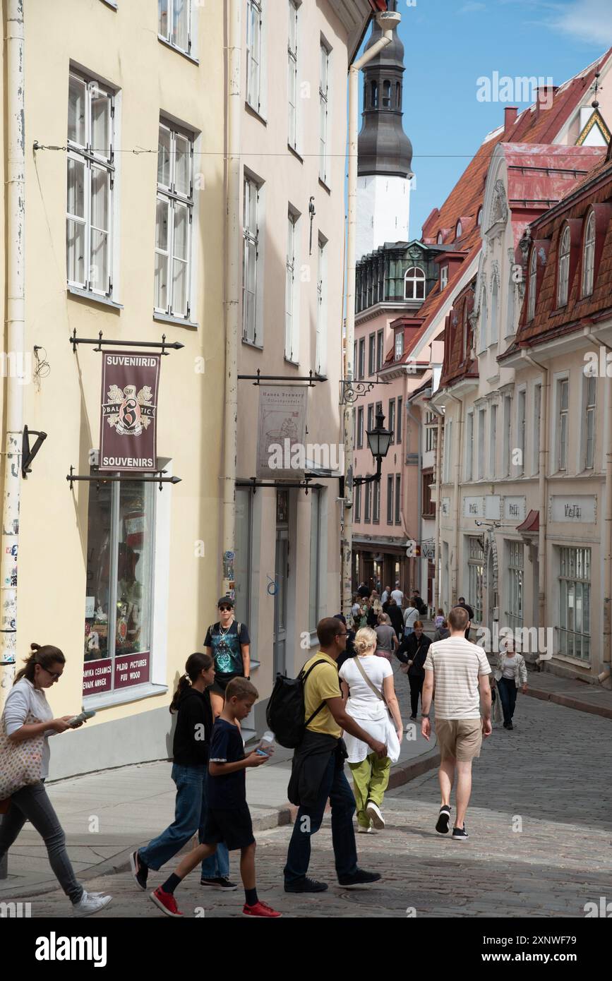 Tallinn old town center colorful buildings, coffee shops, restaurants ...