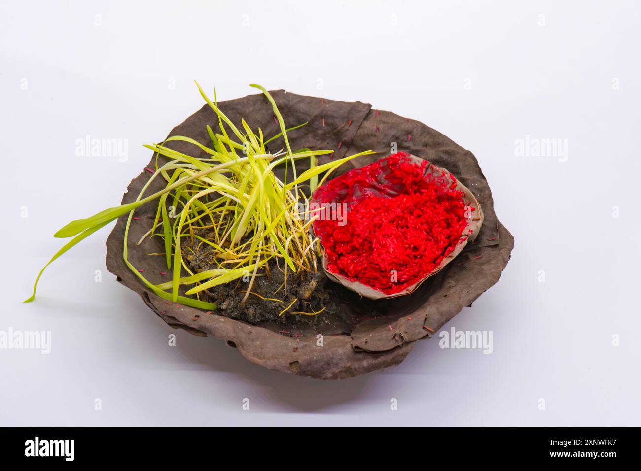 Nepali jamara hi-res stock photography and images - Alamy