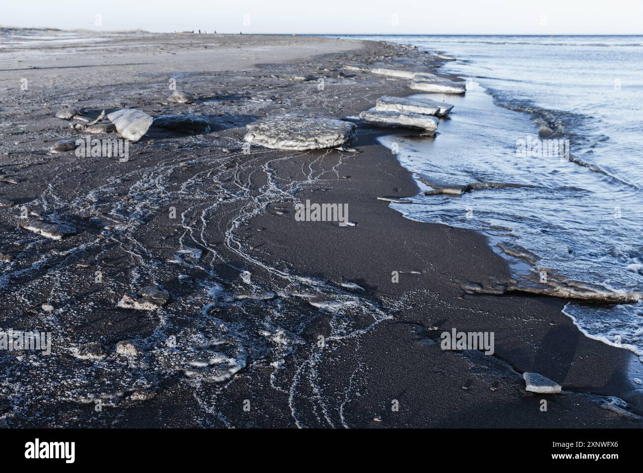 Melting ice floes with sand lay on the coast of Baltic Sea on a winter ...