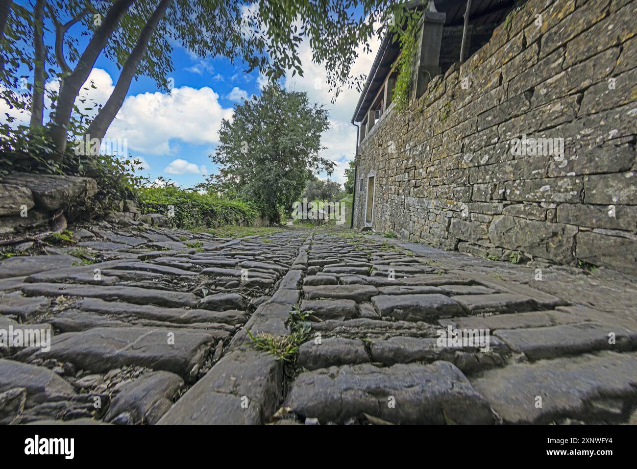 This cobblestone-lined walkway features a stone floor, creating a ...