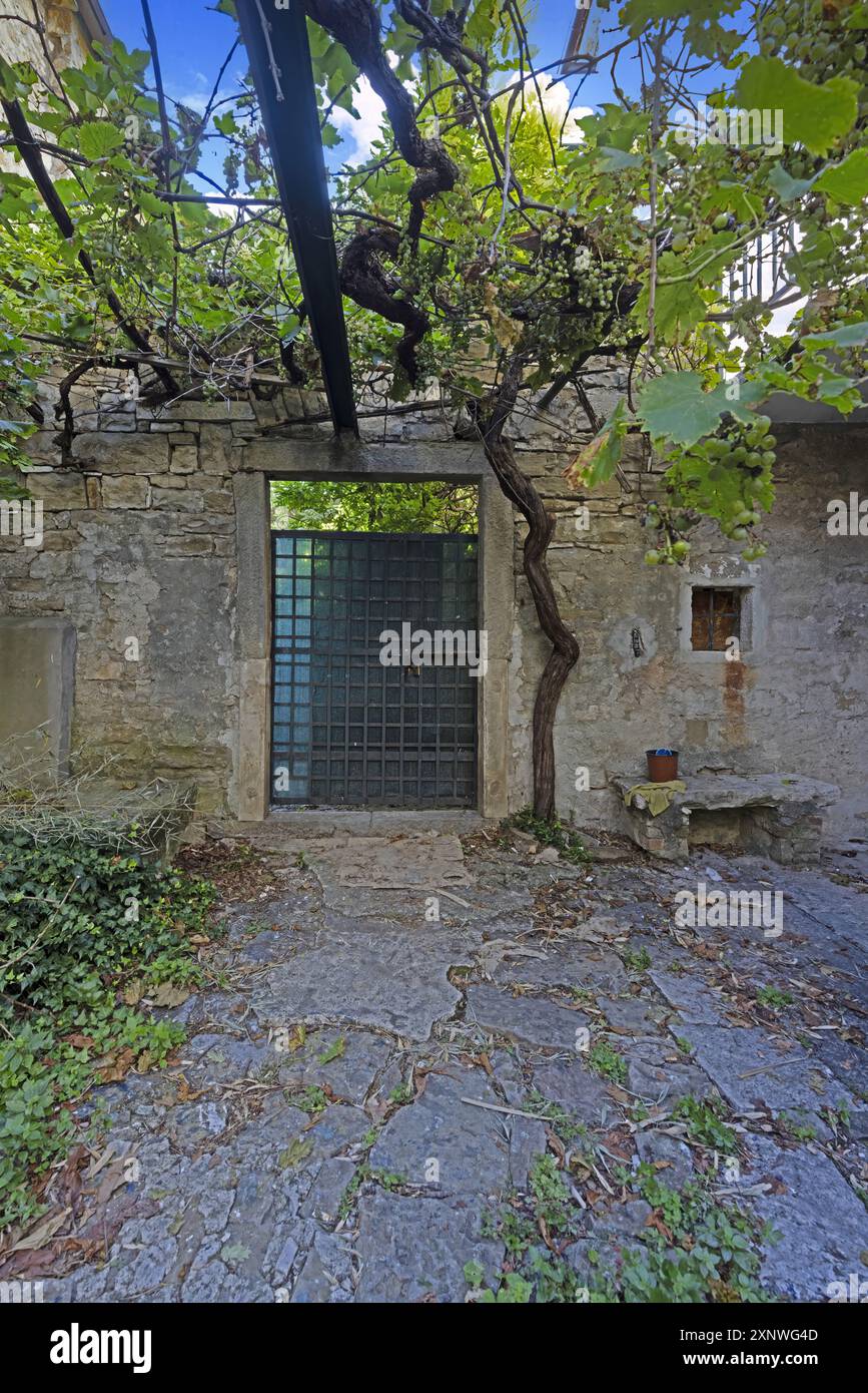 An outdoor courtyard with aged architectural features featuring a ...
