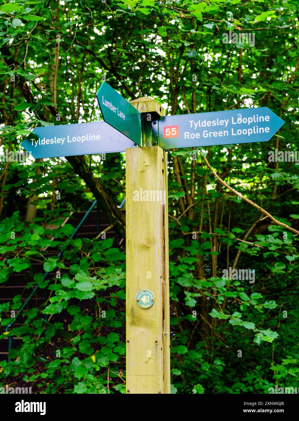 A wooden signpost in a lush green forest, pointing towards various ...