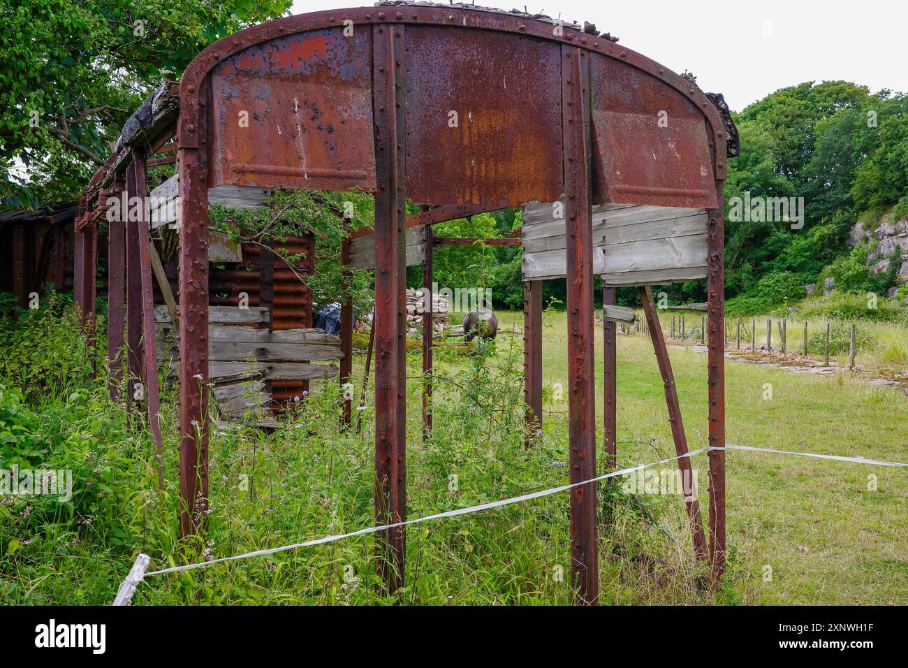 Abandoned rusty train car frame in a lush, overgrown horse field with ...