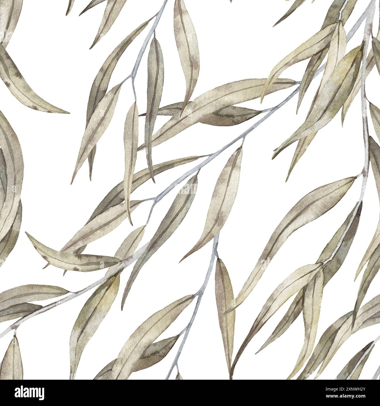 Willow seamless watercolor pattern hand drawn with dusty green leaves ...