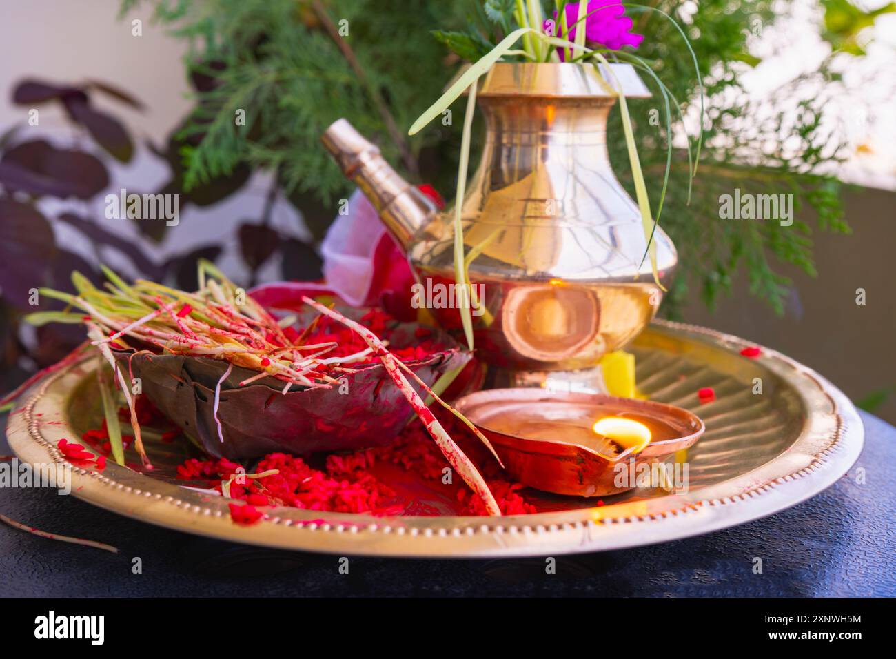 Nepali jamara hi-res stock photography and images - Alamy