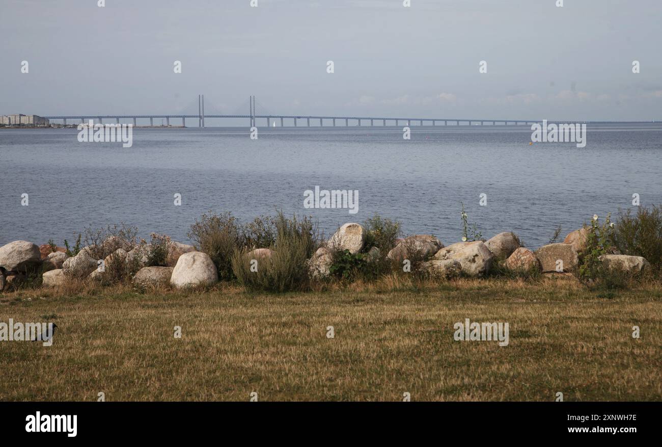 FILED - 02 August 2024, Sweden, Malmö: View of the Öresund Bridge from ...