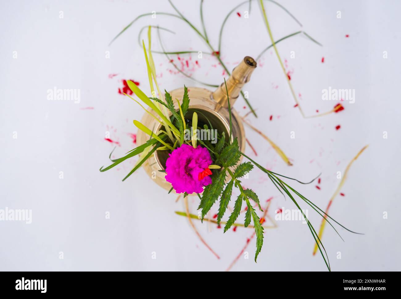 Kalash with flowers, barley leaves jamara, Cynodon dactylon, and tika ...