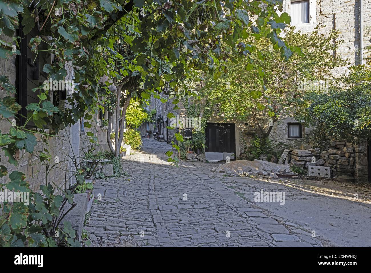 A cobblestone street with mature shrubbery adorning the central median ...