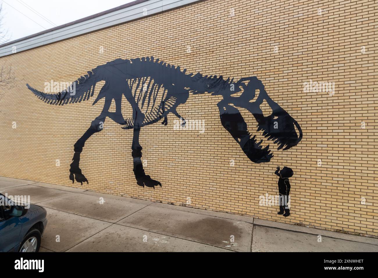 Tyrannosaurus rex wall art hi-res stock photography and images - Alamy