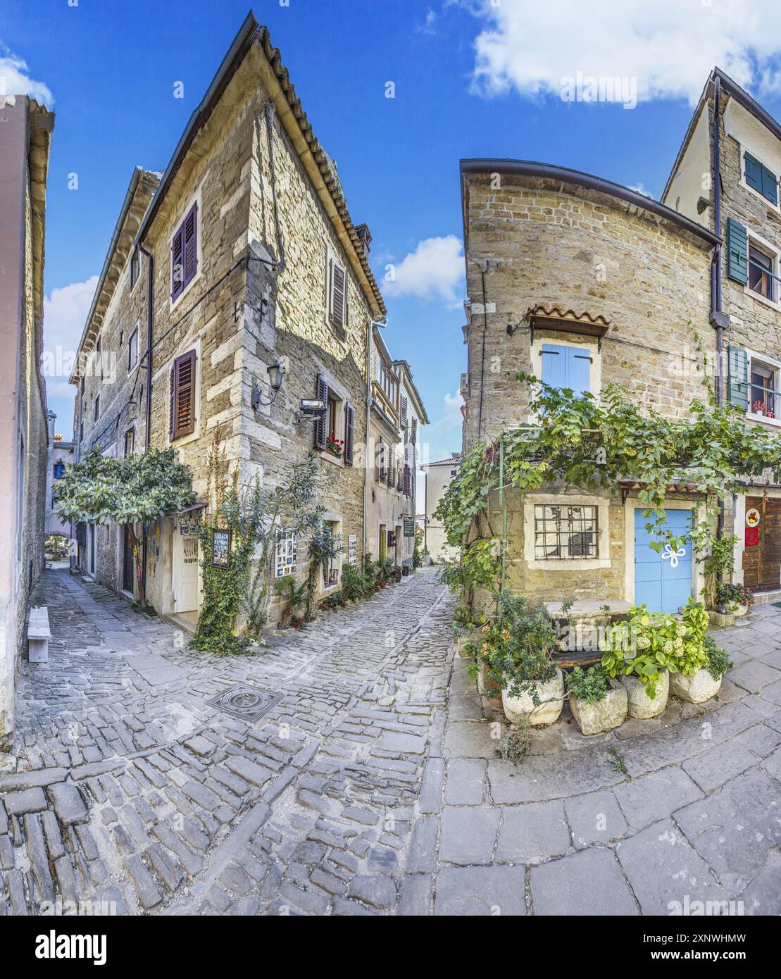 A beautiful outdoor street scene of two brick buildings with lush ...