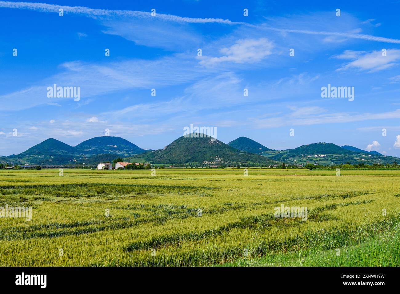 View of Colli Euganei (Euganean hills) in Padua province, Veneto region ...