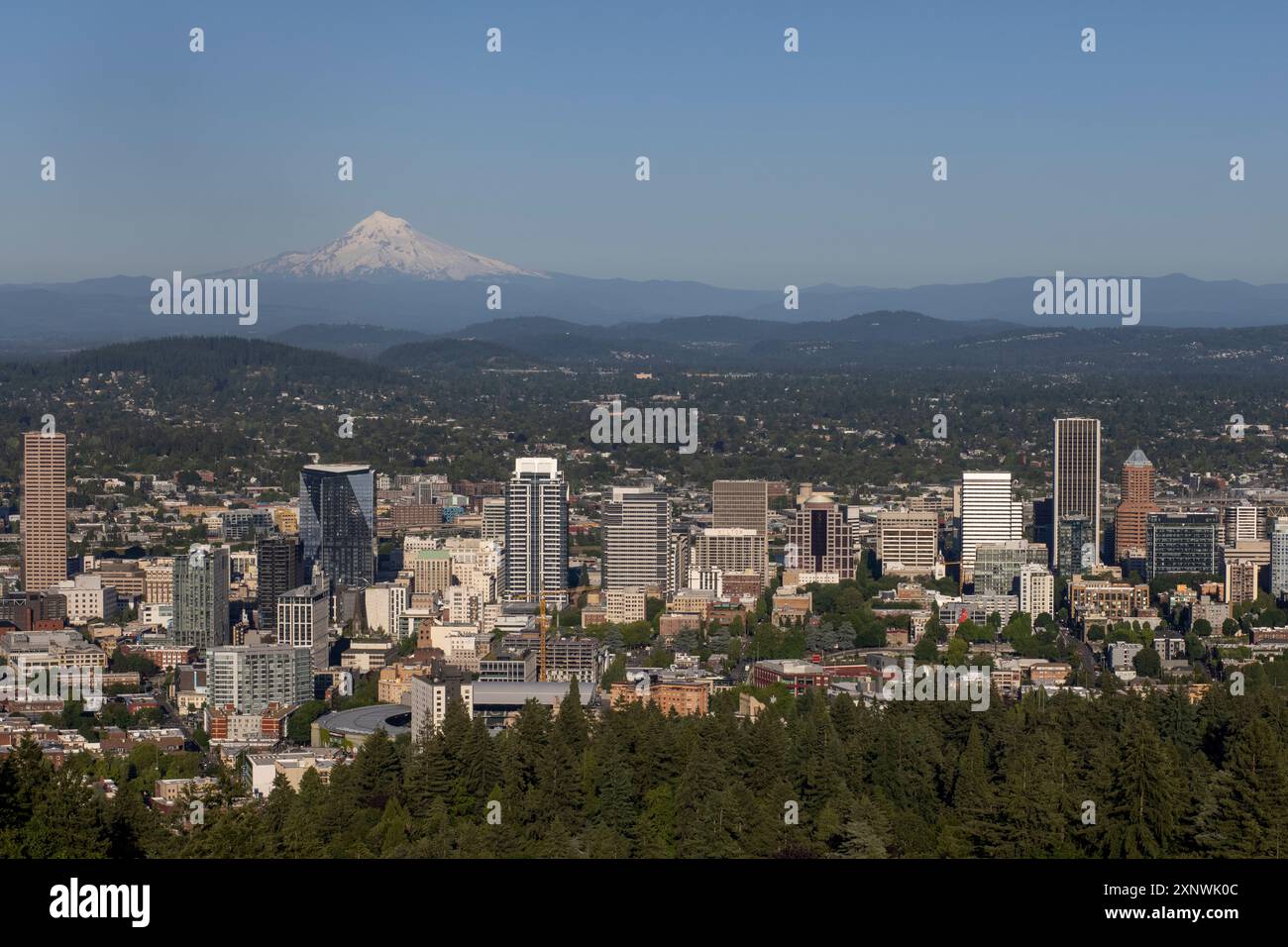 Portland Oregon downtown with Mt. Hood from the Pittock Mansion ...
