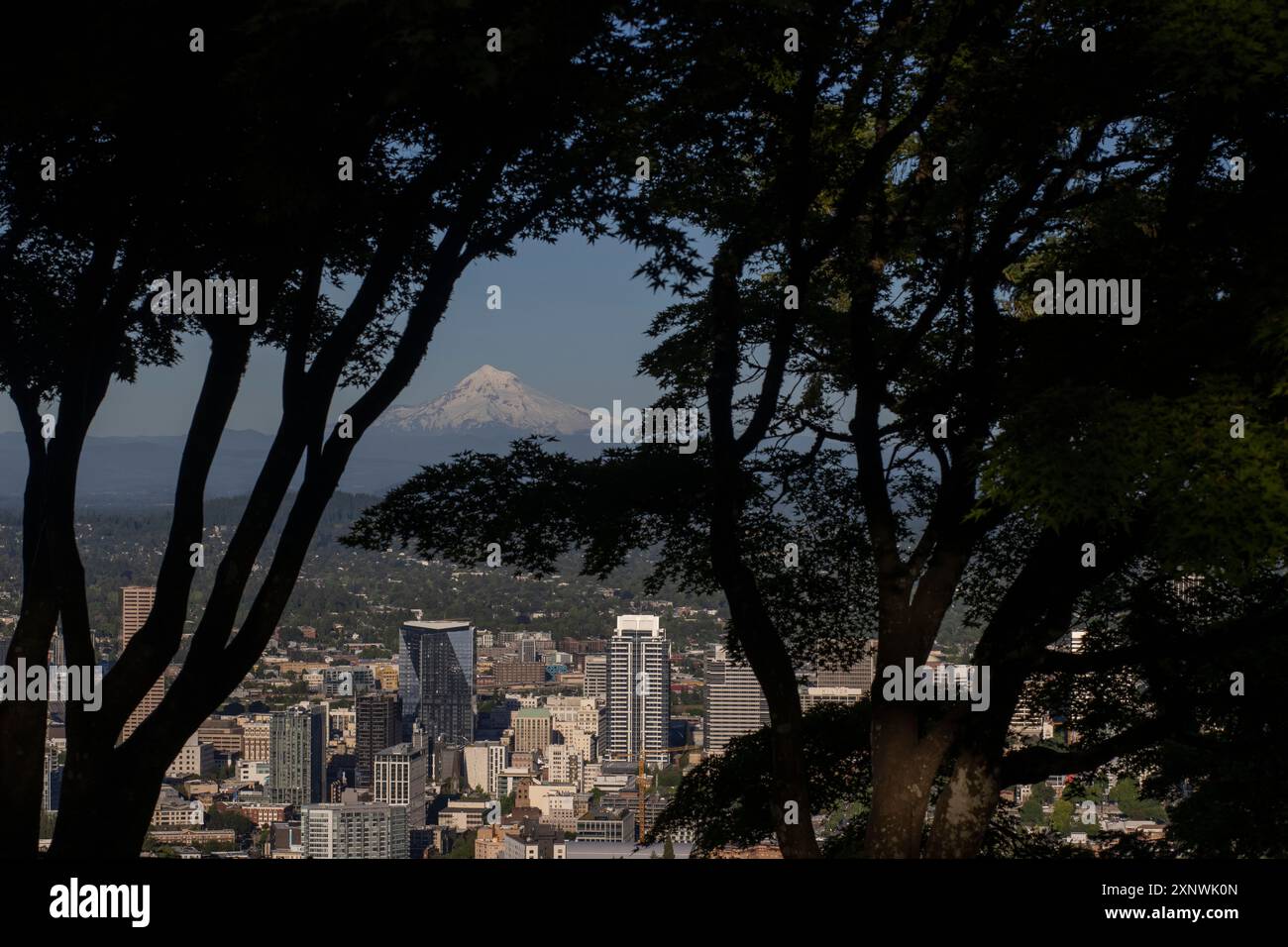 Portland Oregon downtown with Mt. Hood from the Pittock Mansion ...