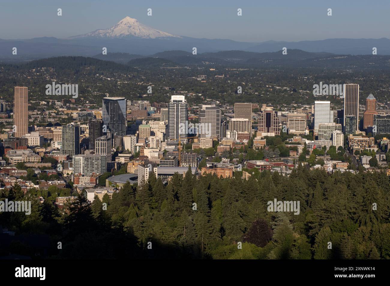 Portland Oregon downtown with Mt. Hood from the Pittock Mansion ...