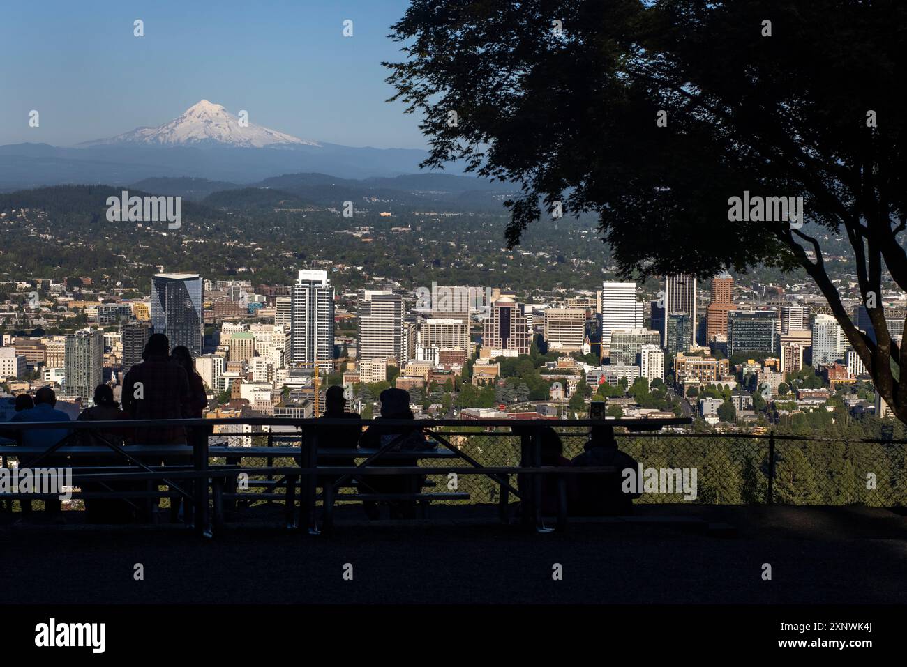 Portland Oregon downtown with Mt. Hood from the Pittock Mansion ...