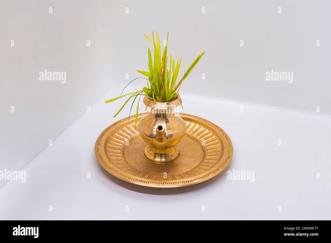 Barley Grass Seeds Jamara on a Leaf Bowl Plates for Hindu Dashain ...