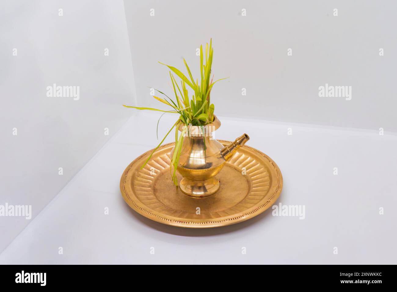 Barley Grass Seeds Jamara on a Leaf Bowl Plates for Hindu Dashain ...