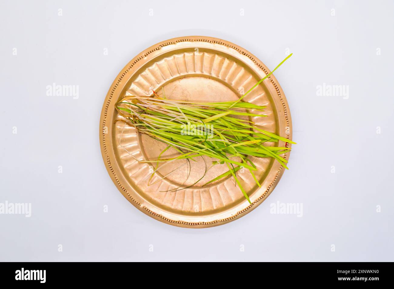 Barley Grass Seeds Jamara on a Leaf Bowl Plates for Hindu Dashain ...