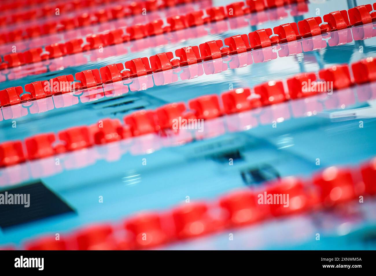 Illustration during the Swimming, Olympic Games Paris 2024 on 02 August ...