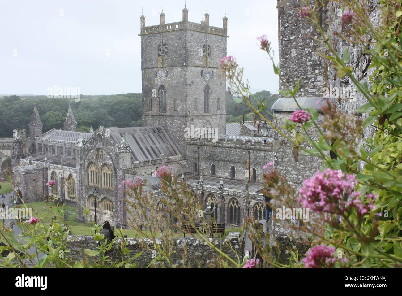 View of St David's cathedral, West Wales, UK Stock Photo - Alamy