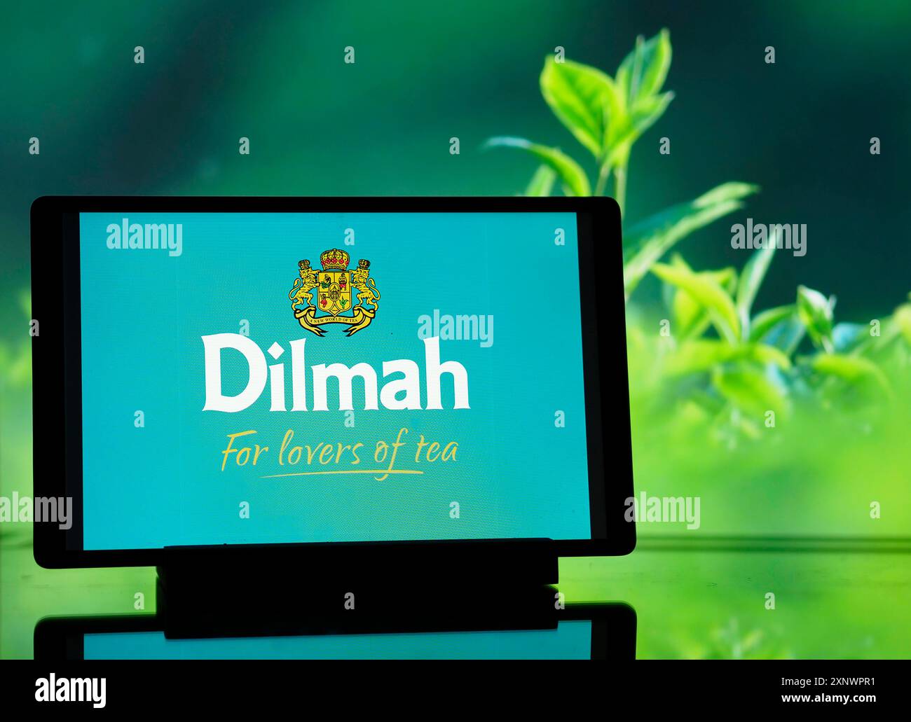 Germany - August 2, 2024: In this photo illustration, Dilmah Ceylon Tea ...